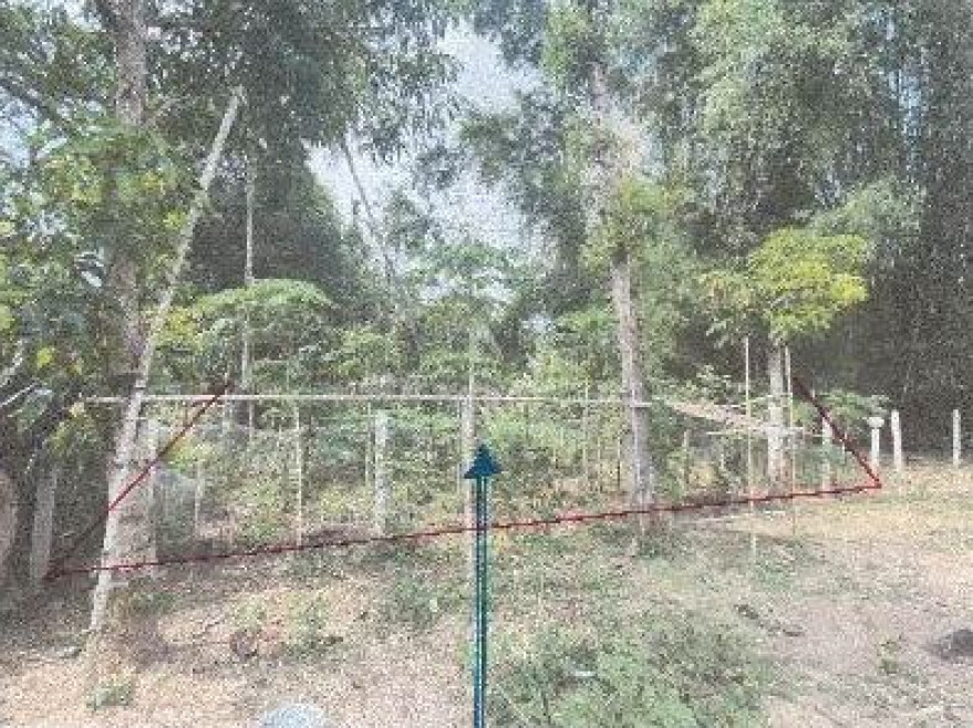 ที่ดินเปล่า | ตลาดนัดบ้านมือสอง