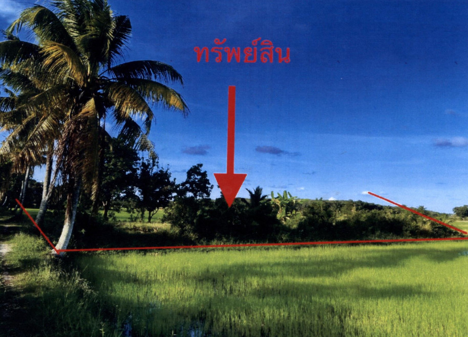 ที่ดินเปล่า | ตลาดนัดบ้านมือสอง